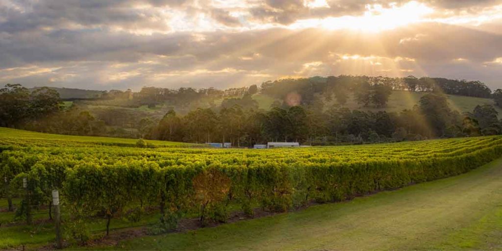 Discover the Denmark Wine Region - Lake House Denmark