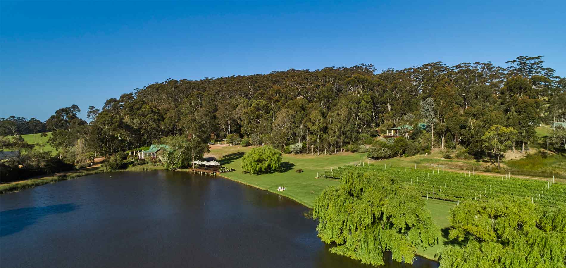 Denmark Winery and Cellar Door | The Lake House Denmark
